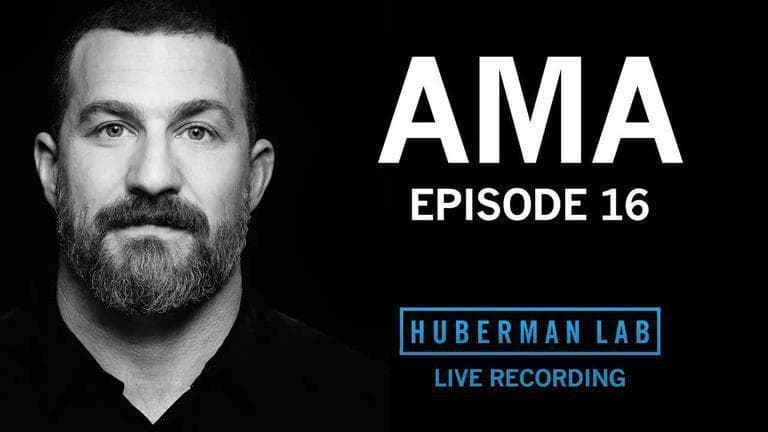 Andrew Huberman transcripts