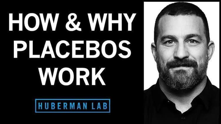 Andrew Huberman transcripts